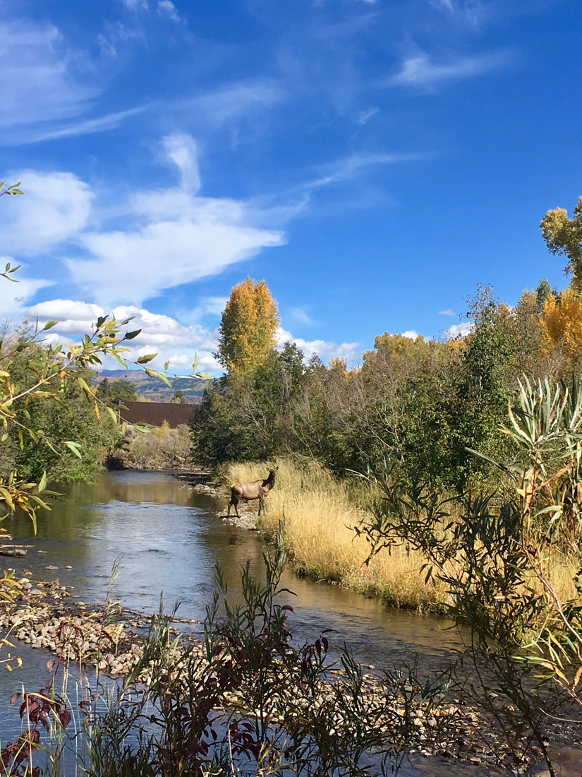 A River Runs Through It Chama New Mexico Leading Estates Of The World A River Runs Through It Chama New Mexico Leading Estates Of The World